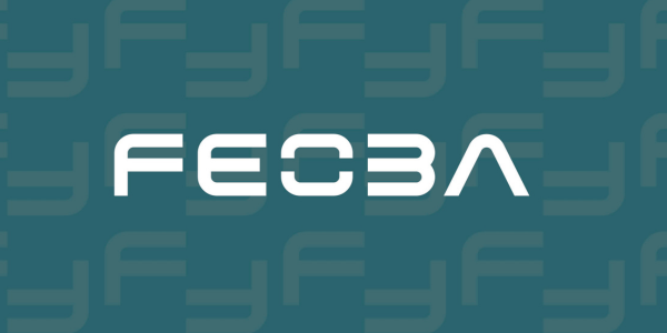 Feoba Pro Plus 10000 Disposable Vape – FEOBA VAPE